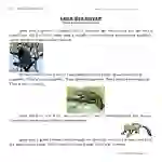 Leon the Lemur Reading Comprehension Worksheet by Teach Simple