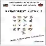 Literacy worksheets: Rainforest animals by Teach Simple