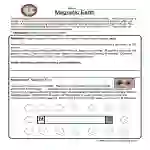 Magnetic Earth Worksheet by Teach Simple