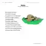 Moles Reading Comprehension Worksheet by Teach Simple