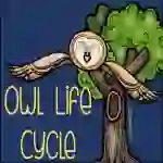 Owl Life Cycle | Interactive Reading Packet by Teach Simple