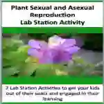Plant Sexual and Asexual Reproduction – Lab Station Activity by Teach ...
