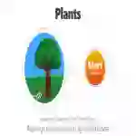 Plants Reading Comprehension Digital Worksheet by Teach Simple