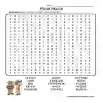 Plural Nouns Wordsearch Worksheet by Teach Simple