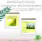 Producer Consumer Decomposer - Digital Mini Lesson Practice by Teach Simple