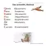 Scientific Method Activity Booklet by Teach Simple