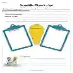 Scientific Observation Worksheet by Teach Simple