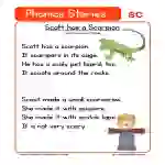 Scott has a Scorpion SC Phonics Stories Reading Comprehension Worksheet ...