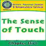 Senses, Nervous & Respiratory Systems: The Sense of Touch Gr. 5-8 by ...