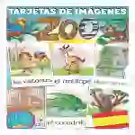 Spanish: Zoo Flash Cards by Teach Simple