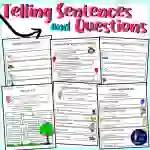 Telling Sentences and Questions by Teach Simple