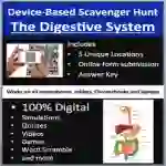The Digestive System - Device-Based Scavenger Hunt Activity -Let the ...