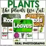 The Plants We Eat: A Parts of a Plant Sort by Teach Simple