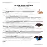 Tortoise, Hare, and Eagle Reading Comprehension Worksheet by Teach Simple