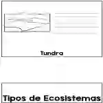 Types of Ecosystems Interactive Notebook by Teach Simple