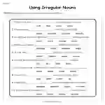 Using Irregular Nouns Worksheet by Teach Simple