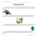Velma the Vulture Reading Comprehension Worksheet by Teach Simple