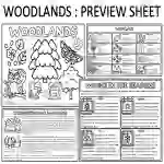 Woodlands - Mini Unit by Teach Simple