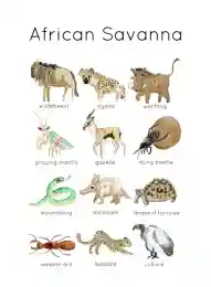 Africa Savanna Animals List