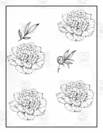 flower coloring pages for adults simple