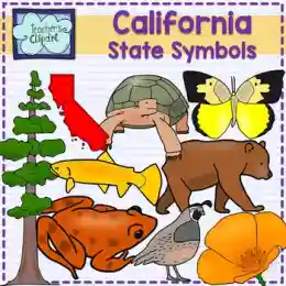 California State Symbols Illustrated Hand Drawn State Symbols Of