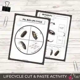 pill bug.coloring sheet.html