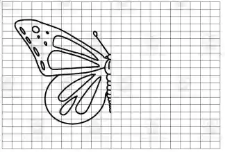 how to draw a butterfly on graph paper