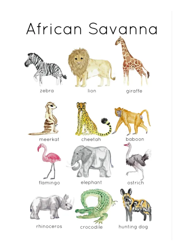 African Savanna Animals by Teach Simple