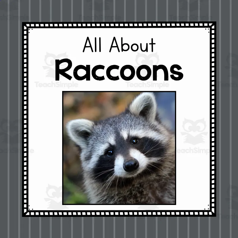 All About Raccoons | Animal Science Unit by Teach Simple