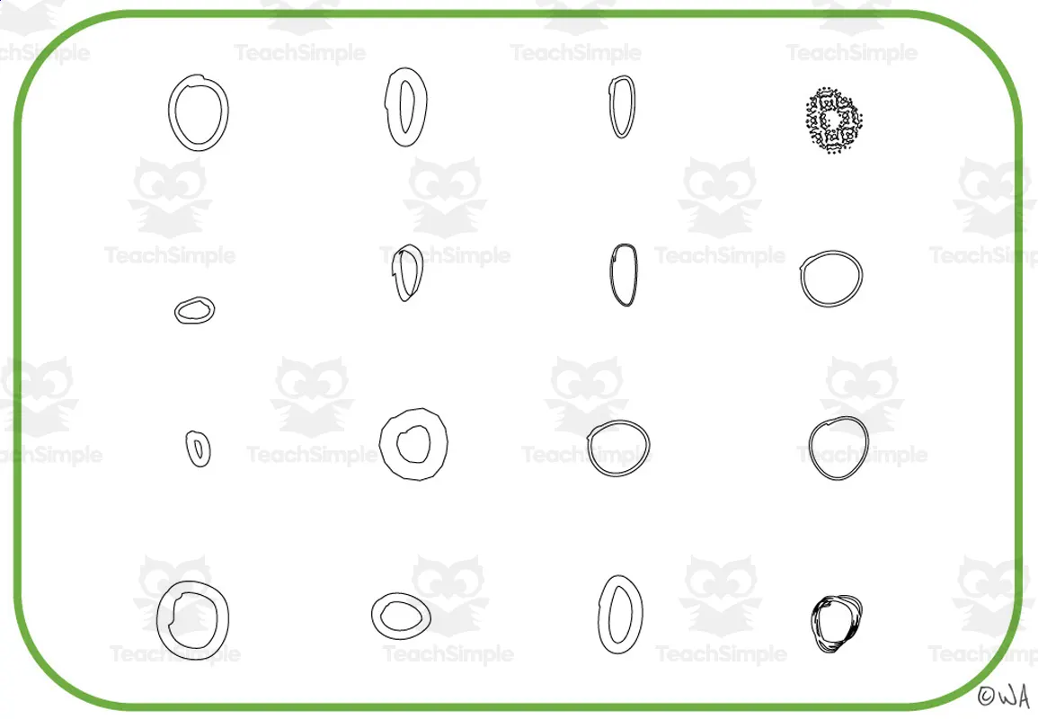Alphabet Visual Cards - Letter O Mats by Teach Simple
