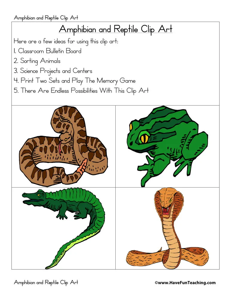 Amphibians and Reptiles Clip Art by Teach Simple
