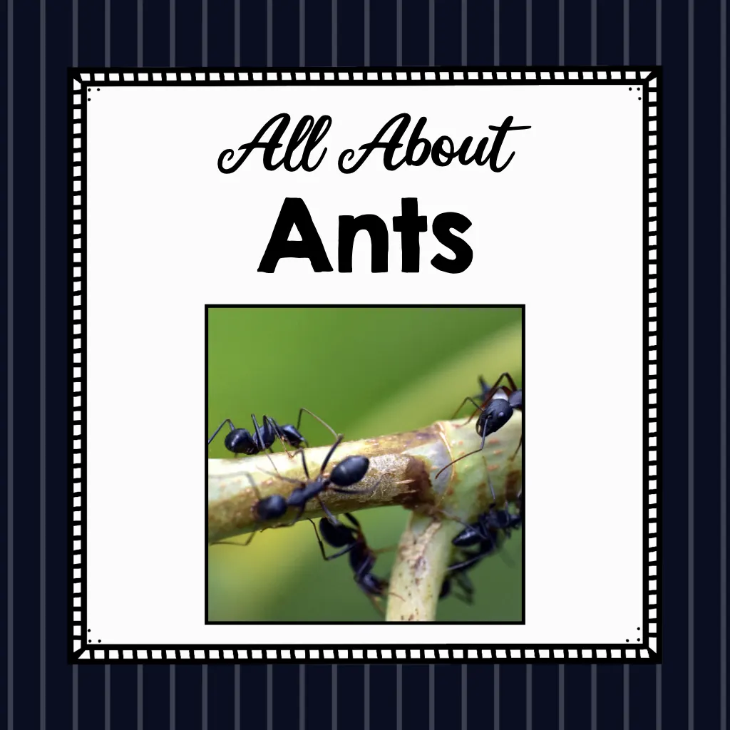 Animal Science Unit | All About Ants | Learning about Animals by Teach ...