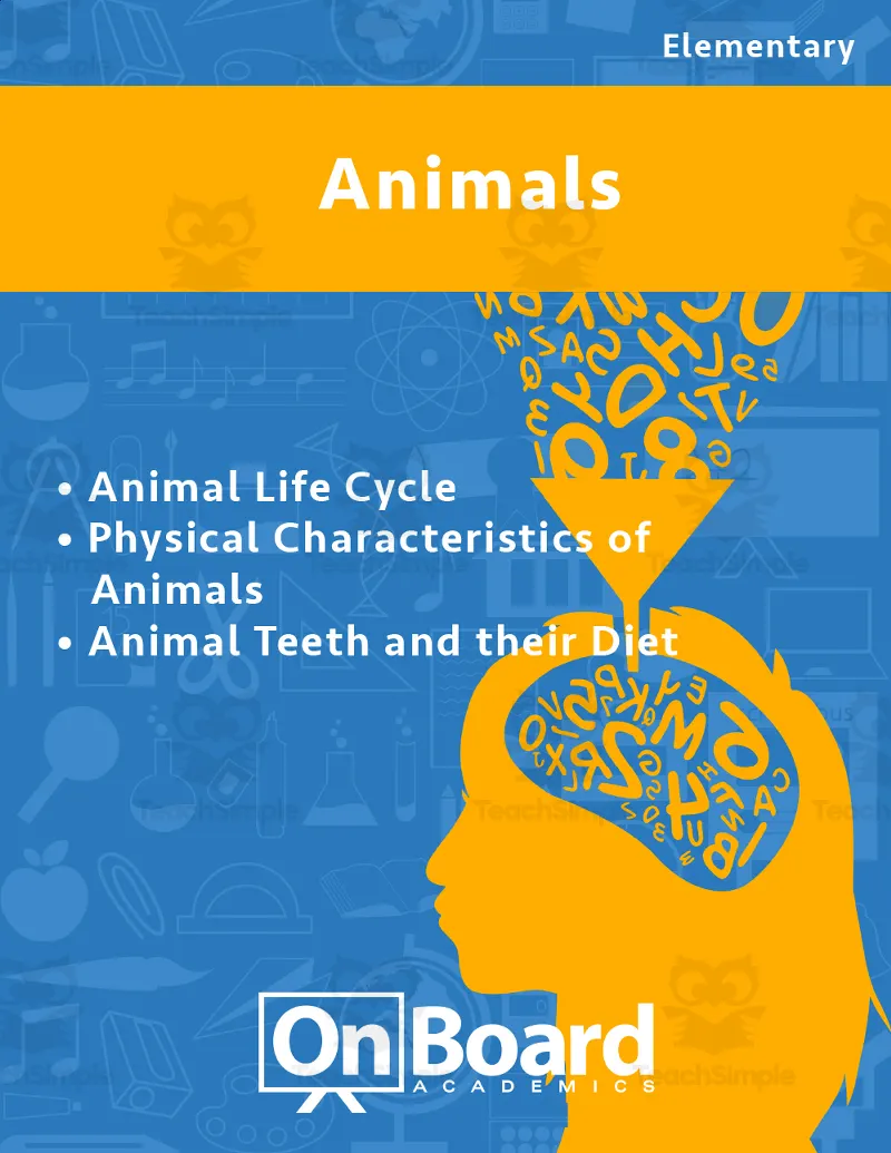 Animals | Academic Workbook by Teach Simple