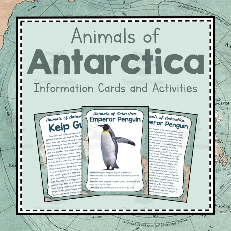 Animals of Antartica | Antartica Unit Study | Geography Bundles by ...