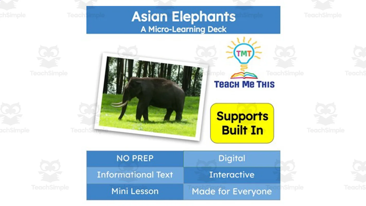 Asian Elephants | Interactive Science Lesson | Micro-Learning Deck by ...