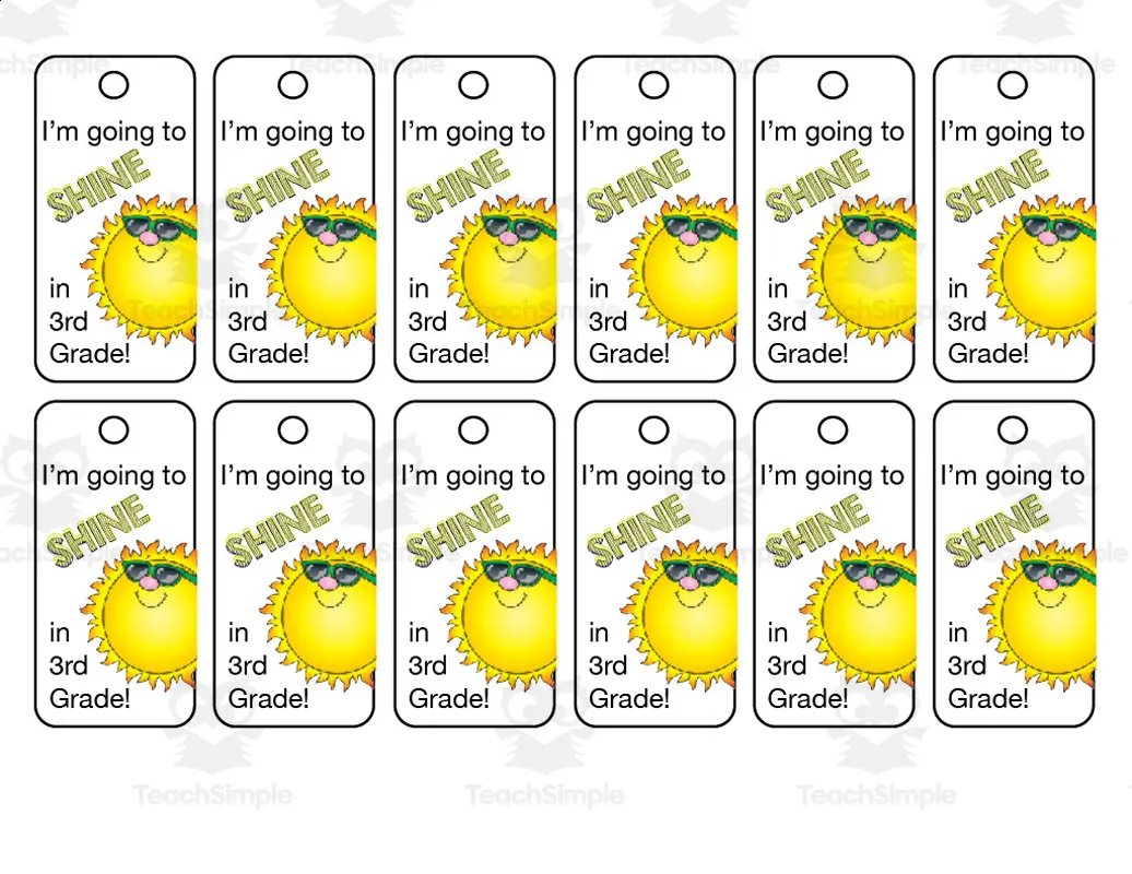 Back to School Brag Tag Sampler by Teach Simple