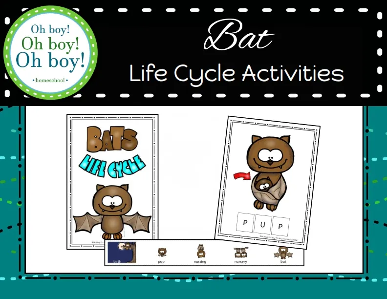 Bat Life Cycle Activities by Teach Simple