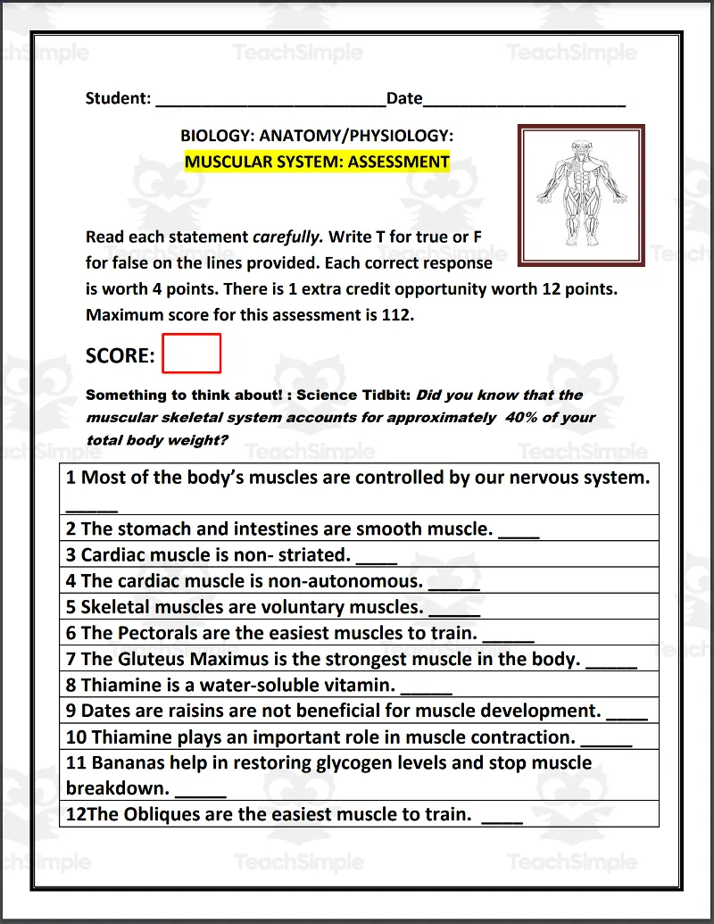 BIOLOGY: ANATOMY/PHYSIOLOGY: MUSCULAR SYSTEM: ASSESSMENT by Teach Simple