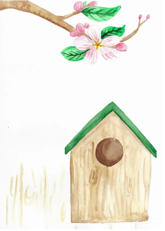 Bird Box Flashcards by Teach Simple