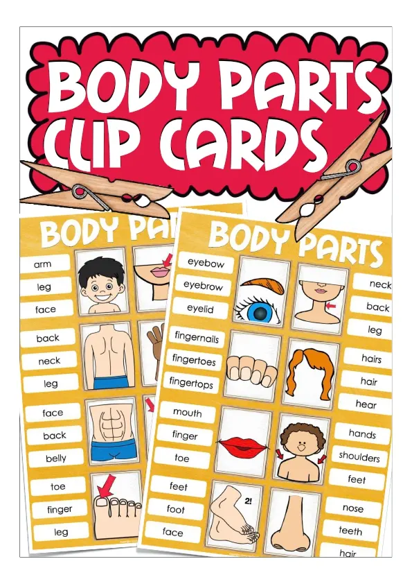Body Parts Clip Cards by Teach Simple