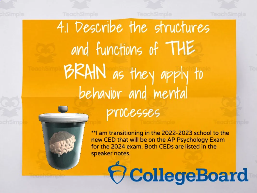 Brain Anatomy Lecture Slides by Teach Simple