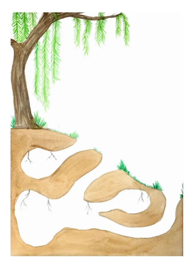 Bunny Burrow | Rabbit Activity by Teach Simple