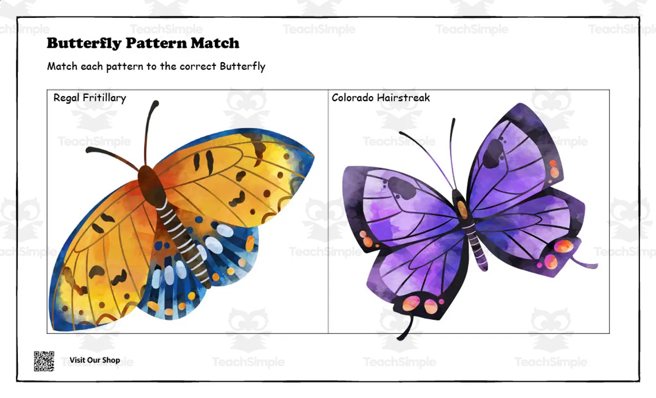 Butterfly Pattern Match Activity by Teach Simple