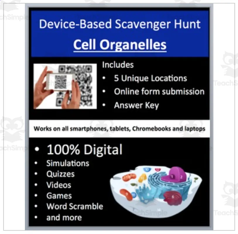 Cell Organelles - Device-Based Scavenger Hunt Activity - Let the Hunt ...