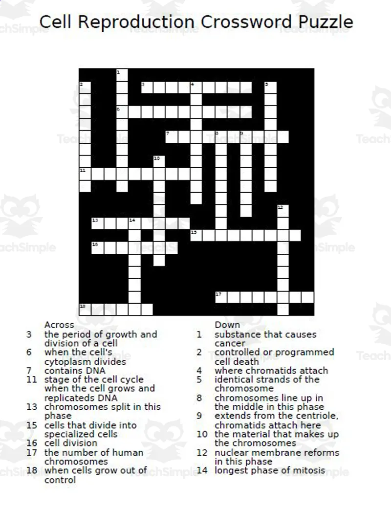 Cell Reproduction Crossword Puzzle by Teach Simple