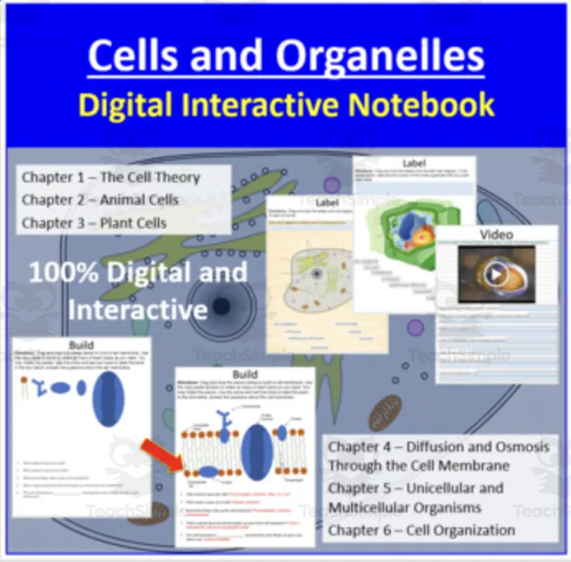 Cells and Organelles – Digital Interactive Notebook by Teach Simple