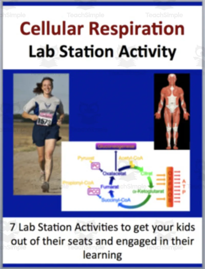 Cellular Respiration - 7 Lab Station Activities by Teach Simple
