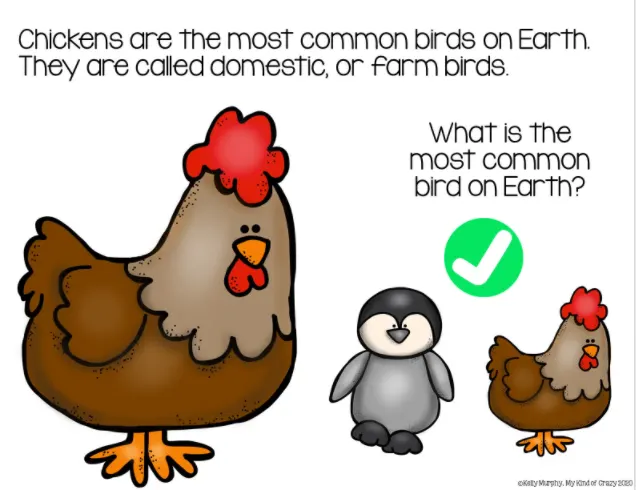 Chicken Life Cycle Adapted Book - Google Slides by Teach Simple