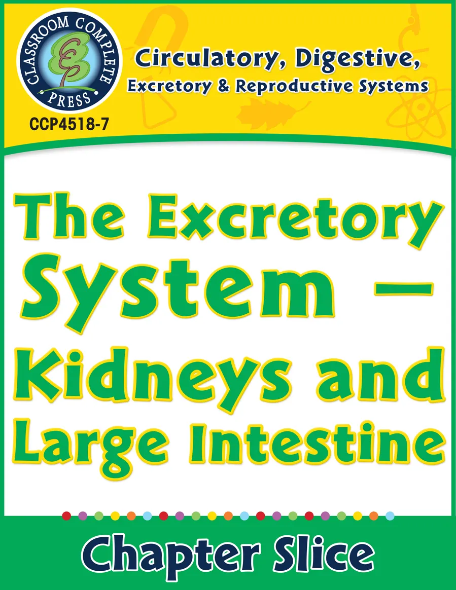 Circulatory, Digestive & Reproductive Systems: Kidneys & Large ...