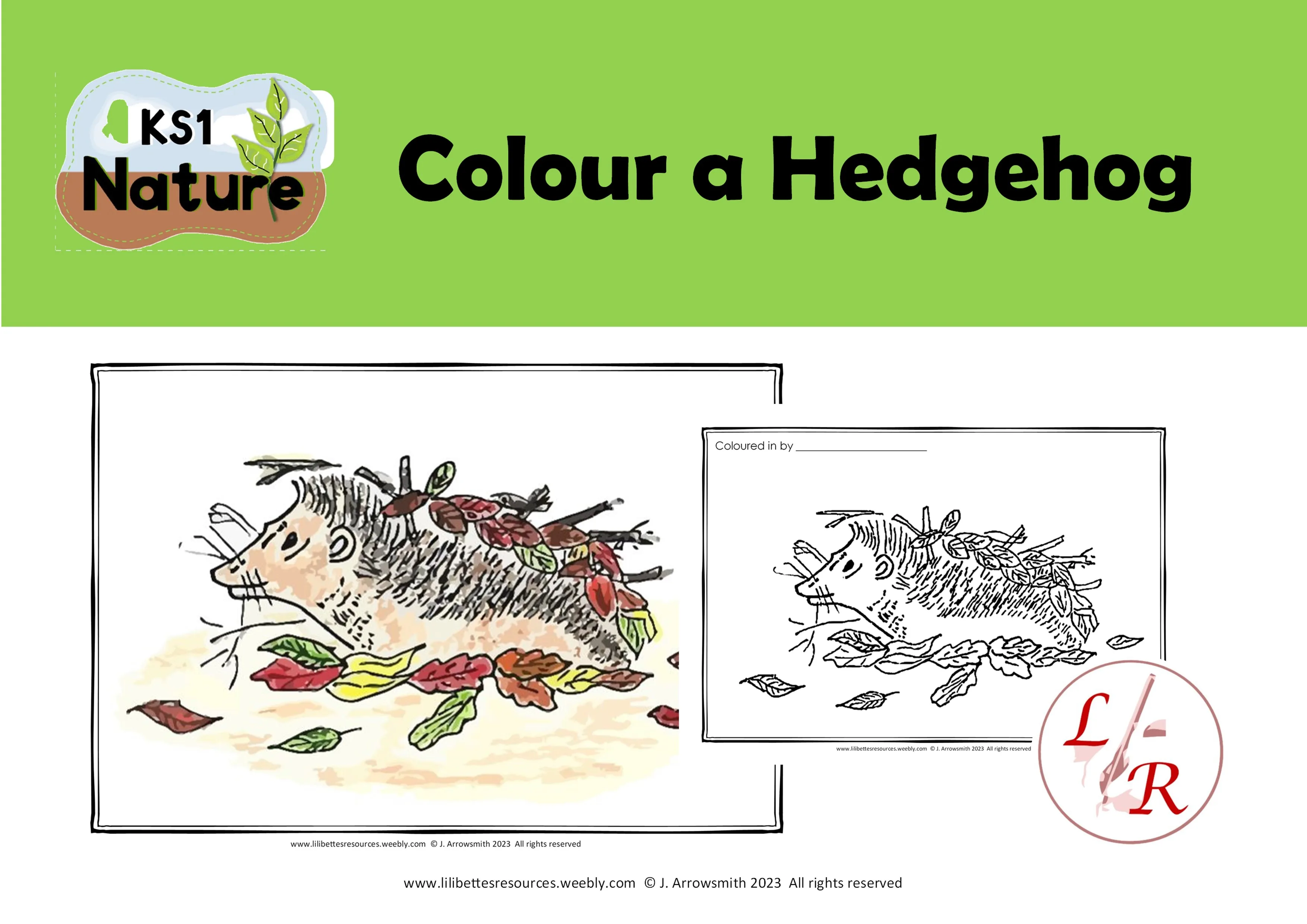 Colour a Hedgehog by Teach Simple